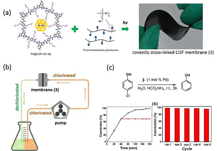 【综述】南开大学张振杰课题组：“刚柔并济，合作共赢”——晶态多孔材料与高分子的联姻